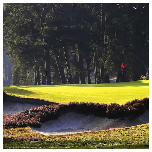 Mens – Middlesex Golf
